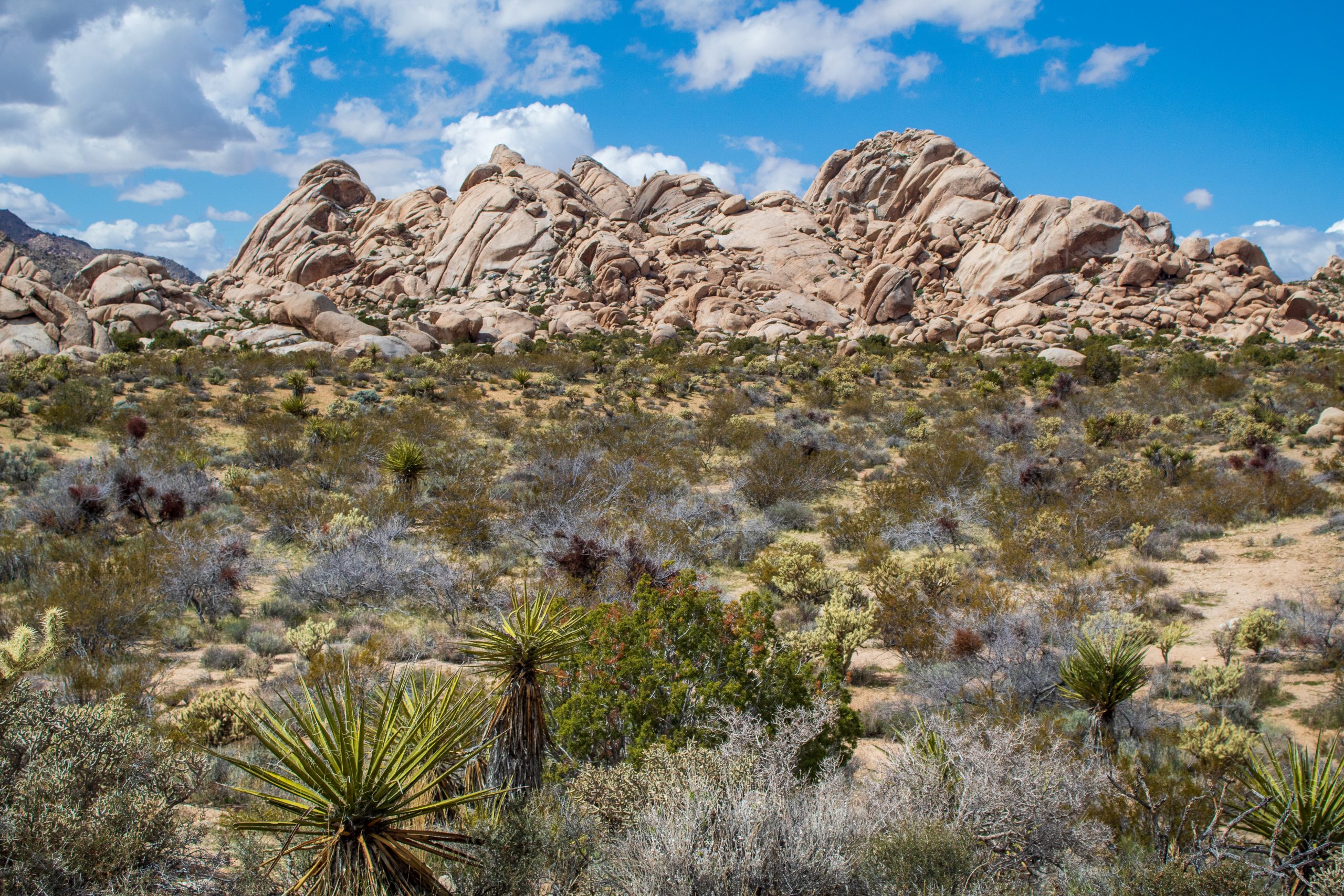 District Map – Col. Paul Cook (Ret.) First District Supervisor