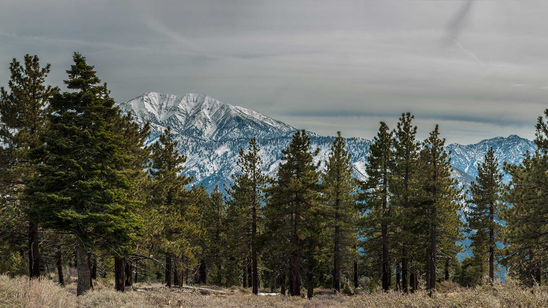 District Staff – Col. Paul Cook (Ret.) First District Supervisor